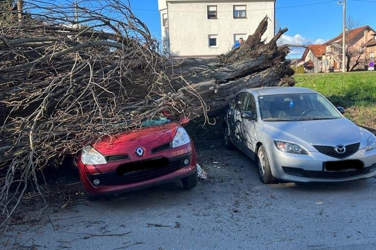 JAK VJETAR STVARA KAOS Srušeno stablo jednoj Zagrepčanki u potpunosti ...