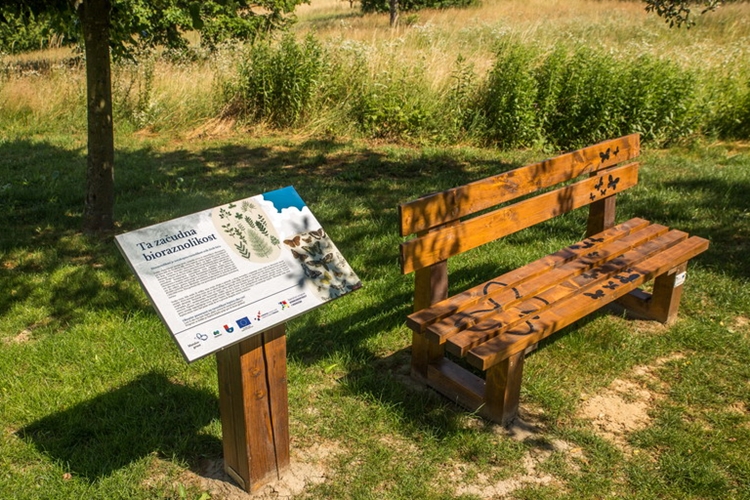 Prošlo je dvije godine od otvaranja Matulovog grunta koji se pokazao ...