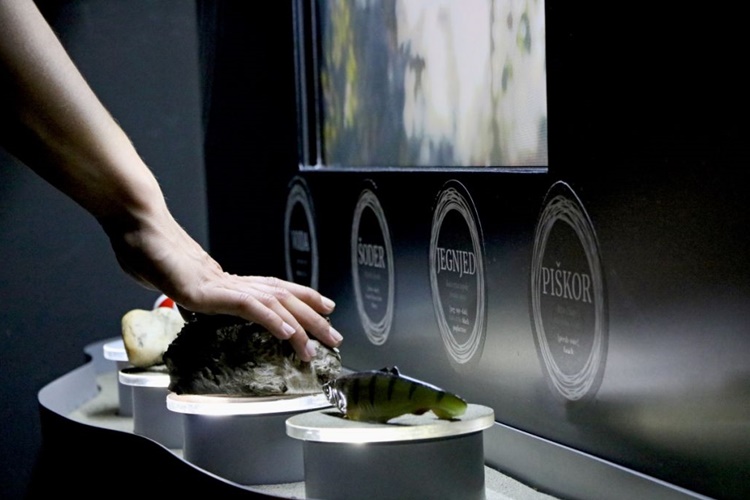 Stvaraju vrijednosti koje znaju predstaviti svijetu: U Međimursku ...